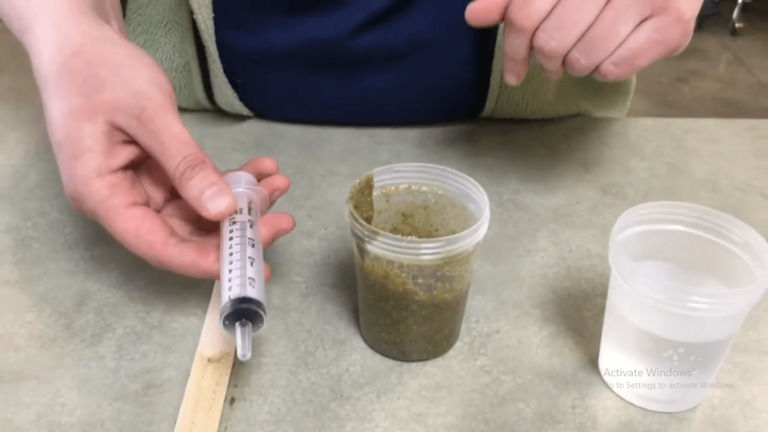 Critical Care for Rabbits: A Step-by-Step Emergency Guide – Cutie Rab