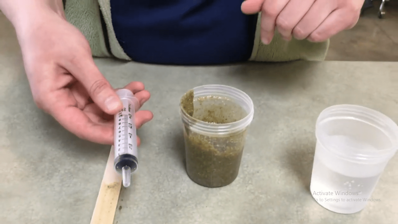 Critical Care for Rabbits: A Step-by-Step Emergency Guide – Cutie Rab